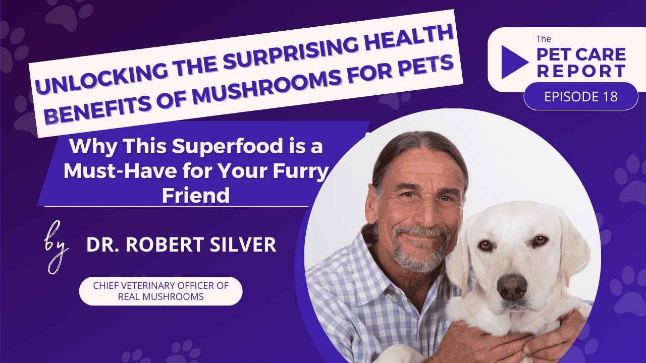 The Surprising Health Benefits of Mushrooms for Pets w/ Dr. Robert ...