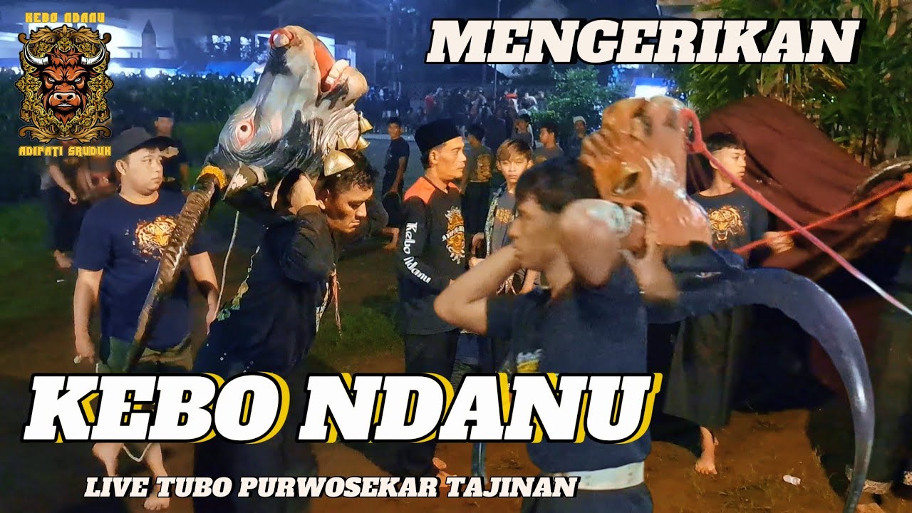KALAPAN MENGERIKAN KEBO NDANU ADIPATI SRUDUK LIVE TUBO PURWOSEKAR ...