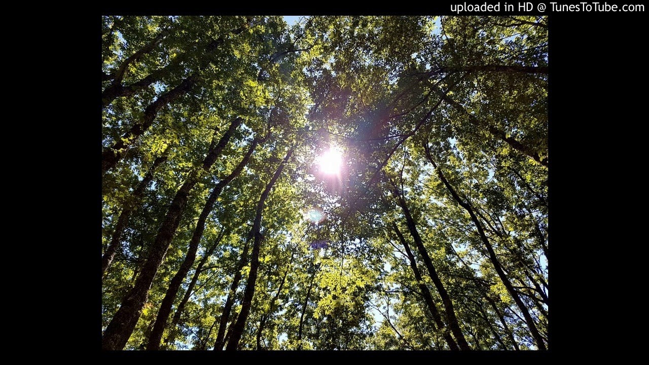 06 Autogenic Relaxation - YouTube