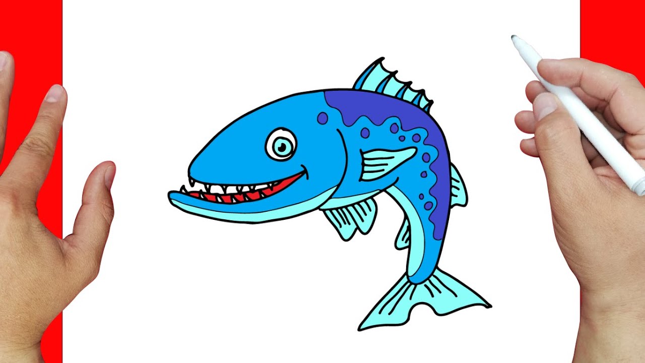 How to draw a barracuda - YouTube