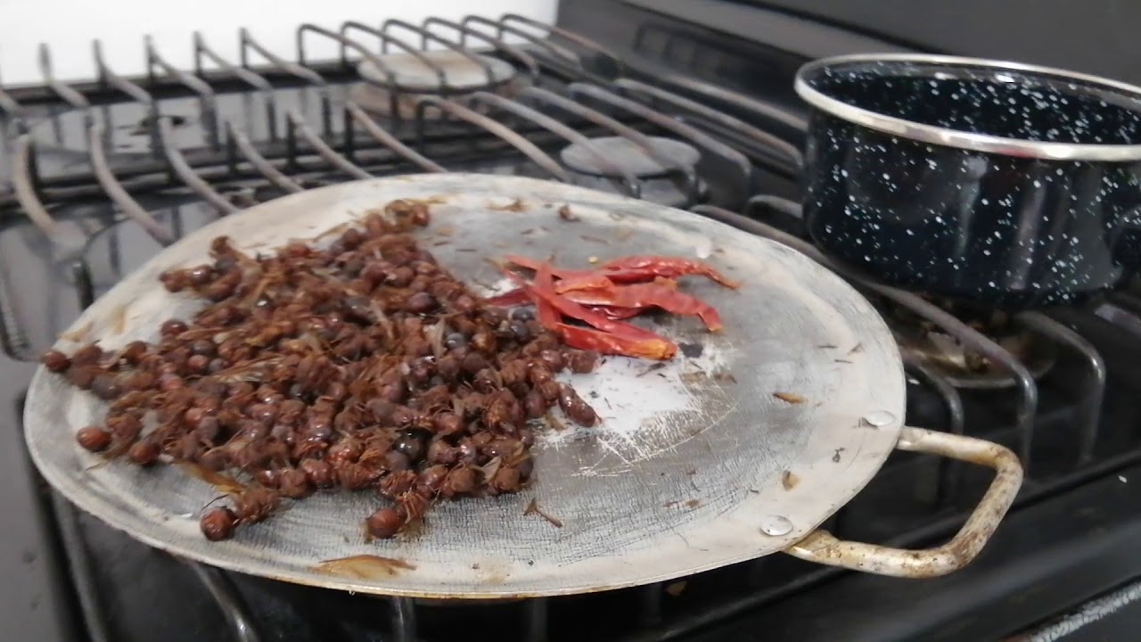 Como hacer Salsa de chicatanas riquísima (típica de Oaxaca) - YouTube