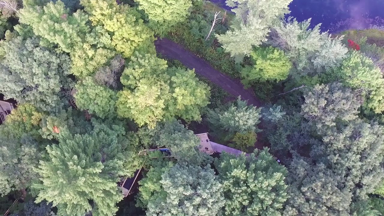 Forest Canopy Walk Drone Flyover Forest - YouTube