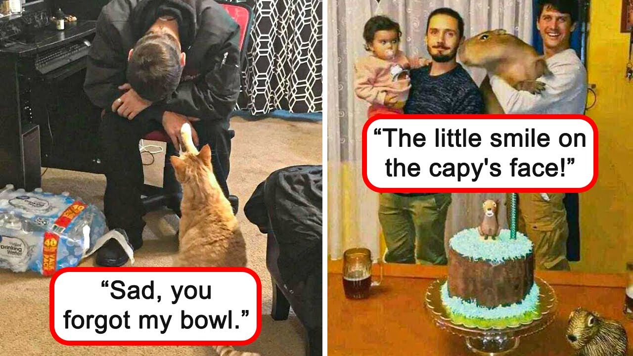 Heartwarming Images That Could Brighten Your Day for the Better (New ...