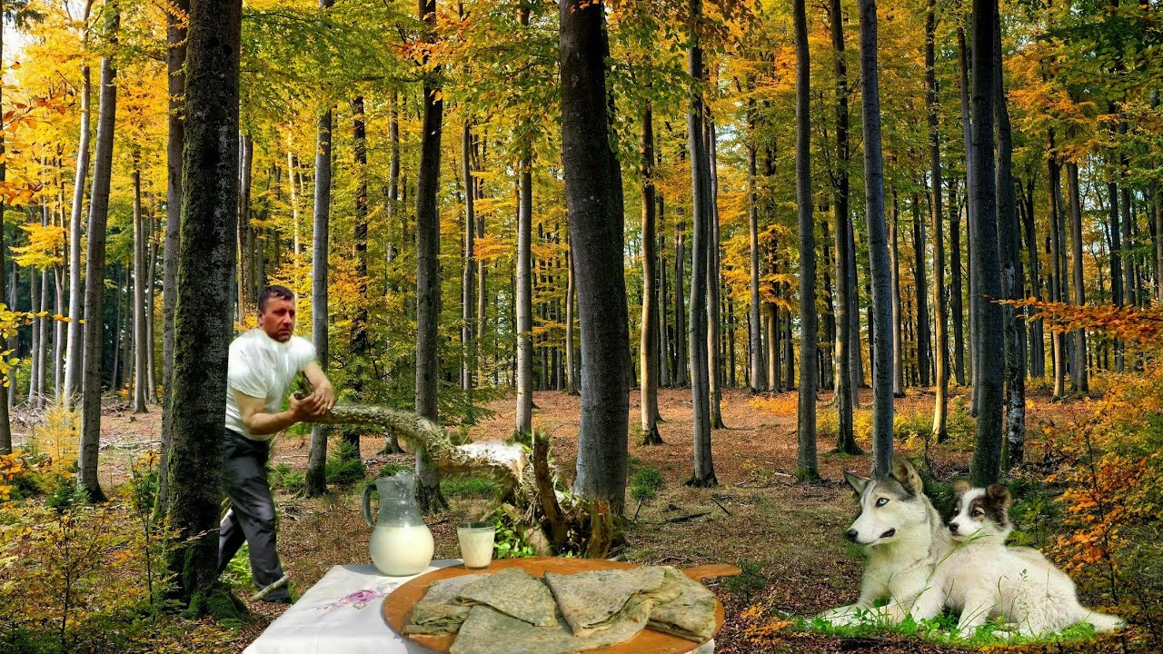 Cooking Qutab with Fresh Greens in Lap of Mysterious Nature that ...