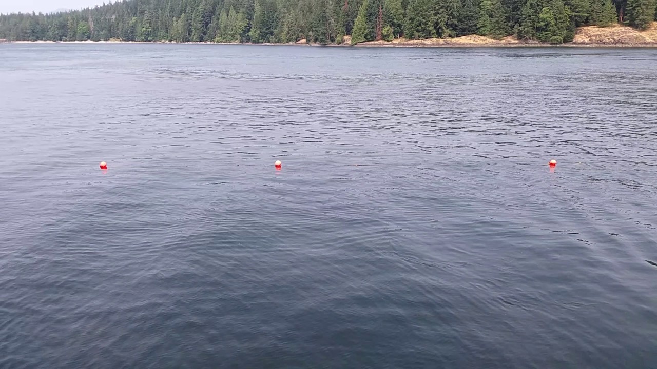 April point resort - Quadra island - YouTube