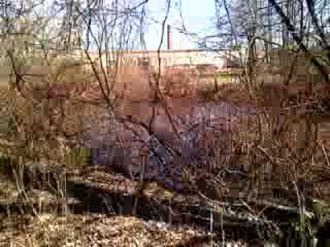Clam River in Cadillac, Michigan - YouTube