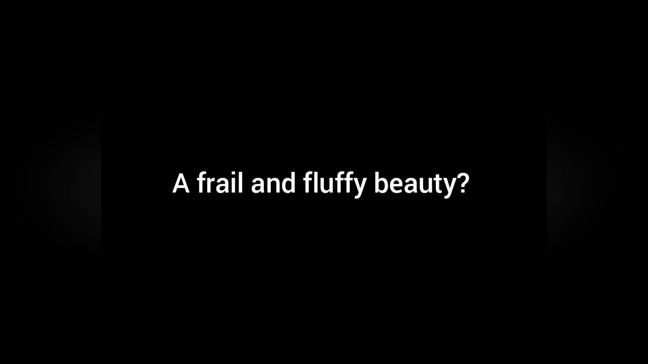 Stepsisters Lament Lyrics Youtube