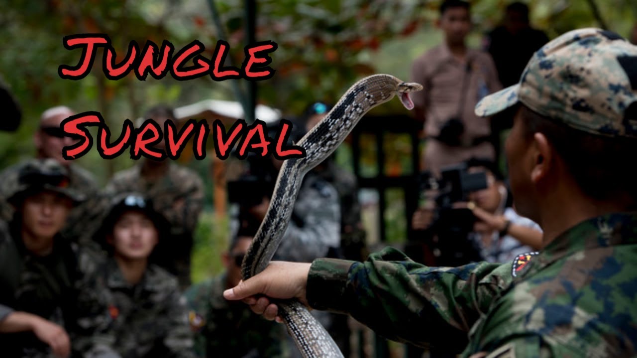 Royal Thai Army Soldiers Play with SNAKES in the JUNGLE infront of U.S ...