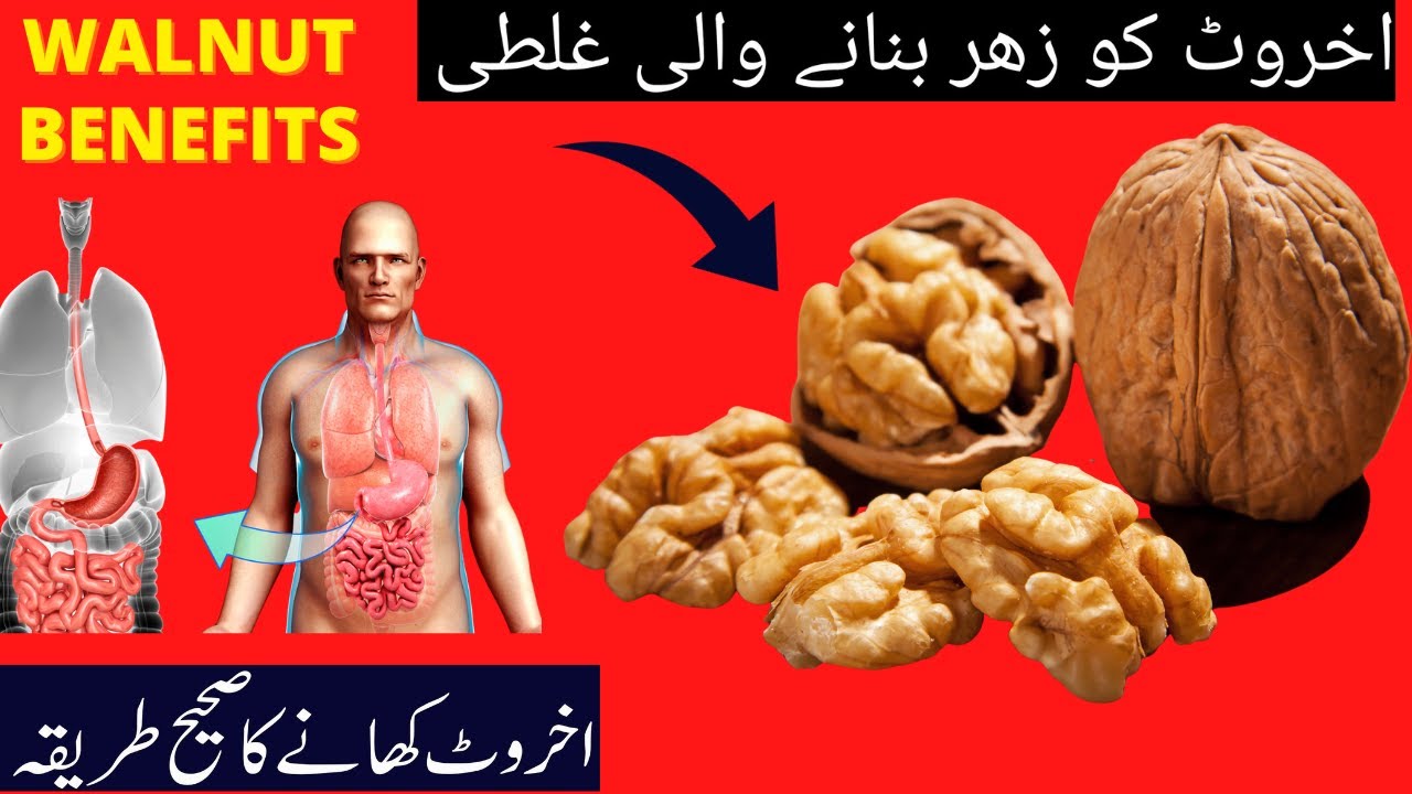 Sahi Tarha Akhrot Khane Ke Fayde | Top Walnuts Health Benefits | Akhrot ...