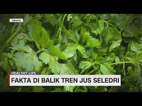 Fakta di Balik Manfaat Jus Seledri