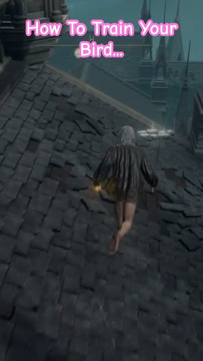 How To Train Your Bird... #eldenring #gaming - YouTube