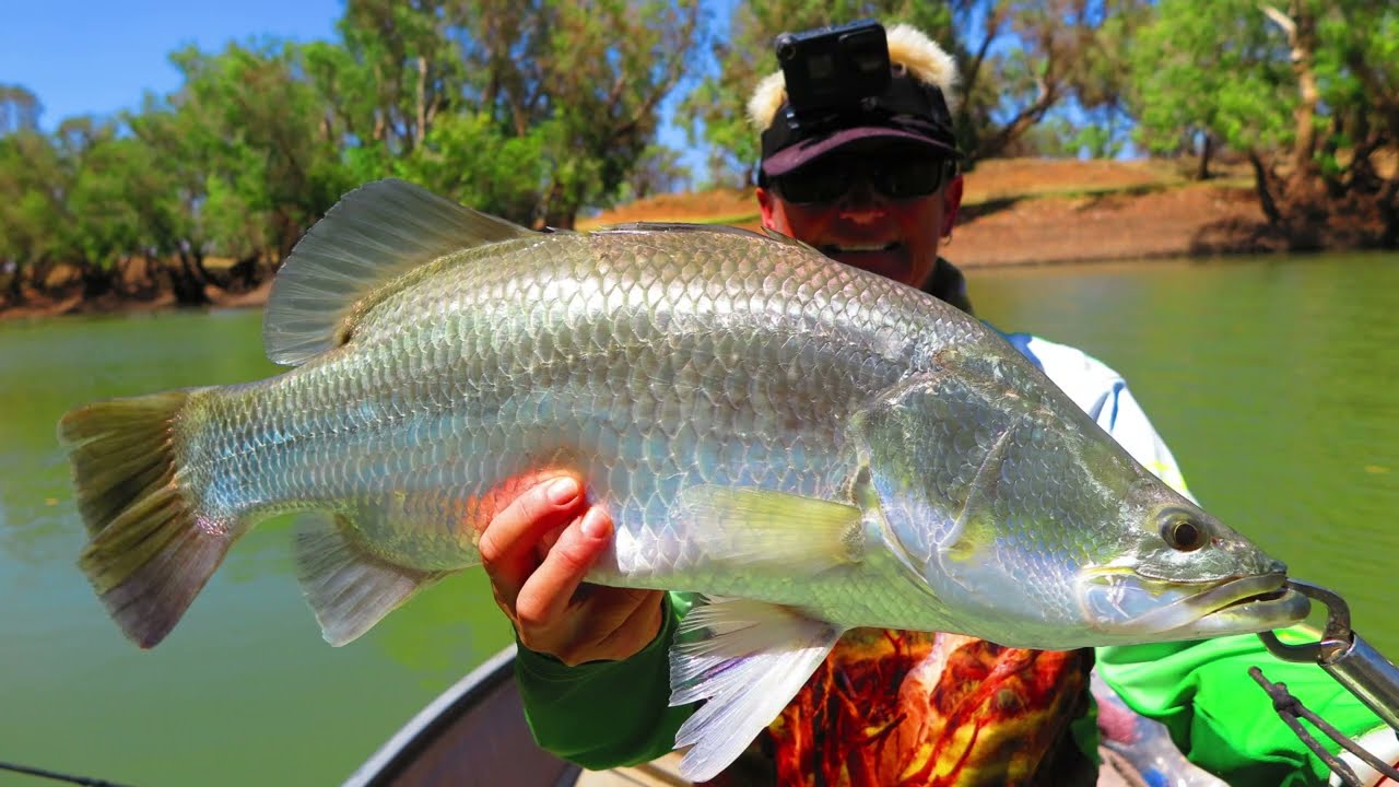 FEISTY Jumping BARRAMUNDI / BUILD UP Fishing HOT session on my ...