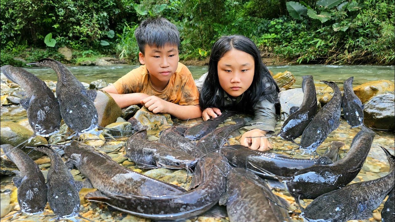 FULL VIDEO: 15 days Save the mute girl, How to catch fish of 2 orphans ...