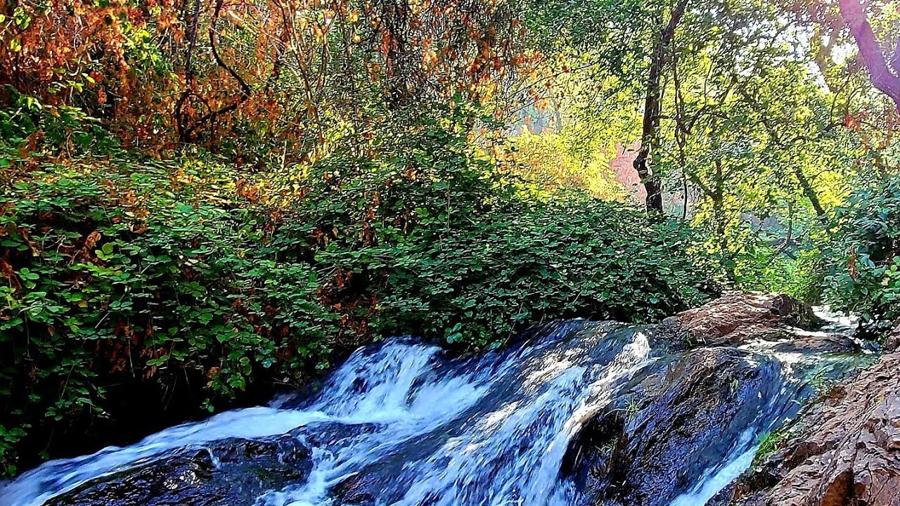 Hidden Falls| Auburn, Ca - YouTube