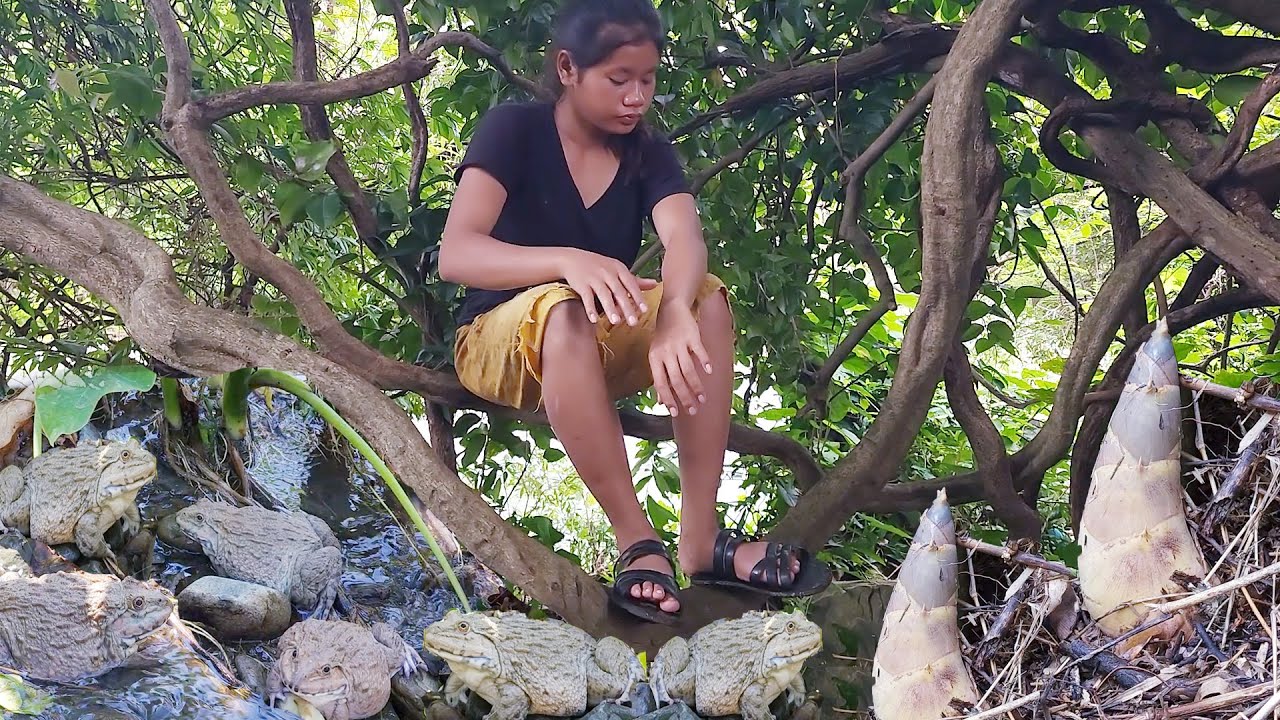 Cath and cook frog - Frogs curry spicy delicious with bamboo shoot ...