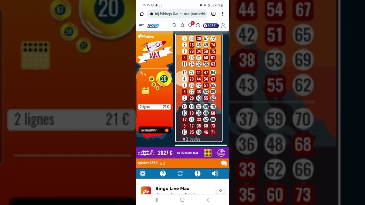 Bingo Live - YouTube