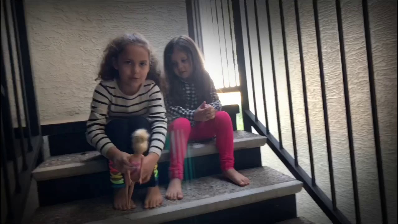 Killer Barbie Movie Trailer - YouTube