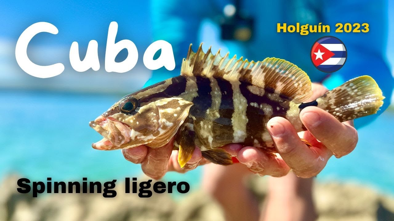 De Pesca en Cuba [MichopescA Fishing Trips] 2023 /Explorando nuevos ...
