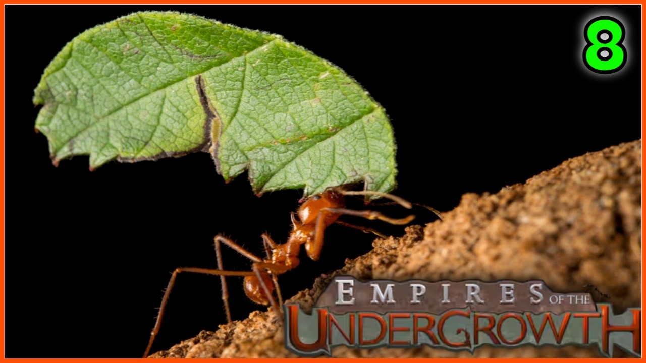 How To Be A Leaf Cutter Ant? | Empires of the Undergrowth | Part 8 ...