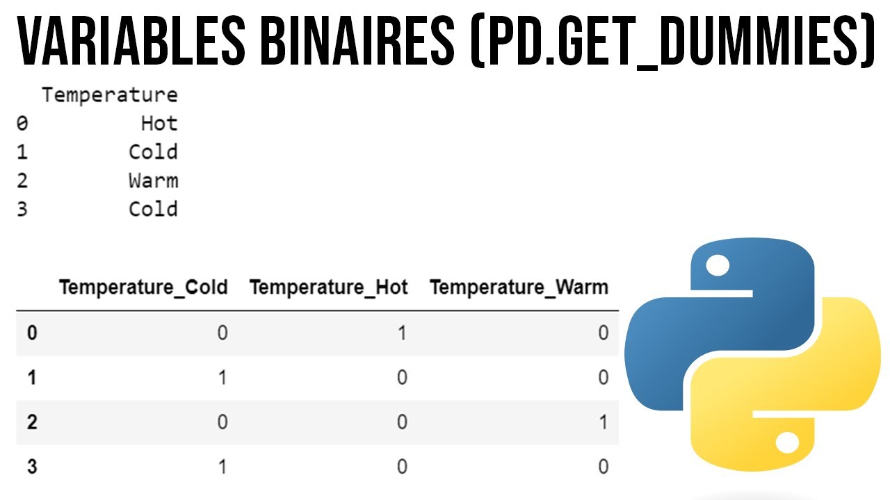 Transformer ses variables catégorielles en variables binaires / dichotomiques avec Python ...