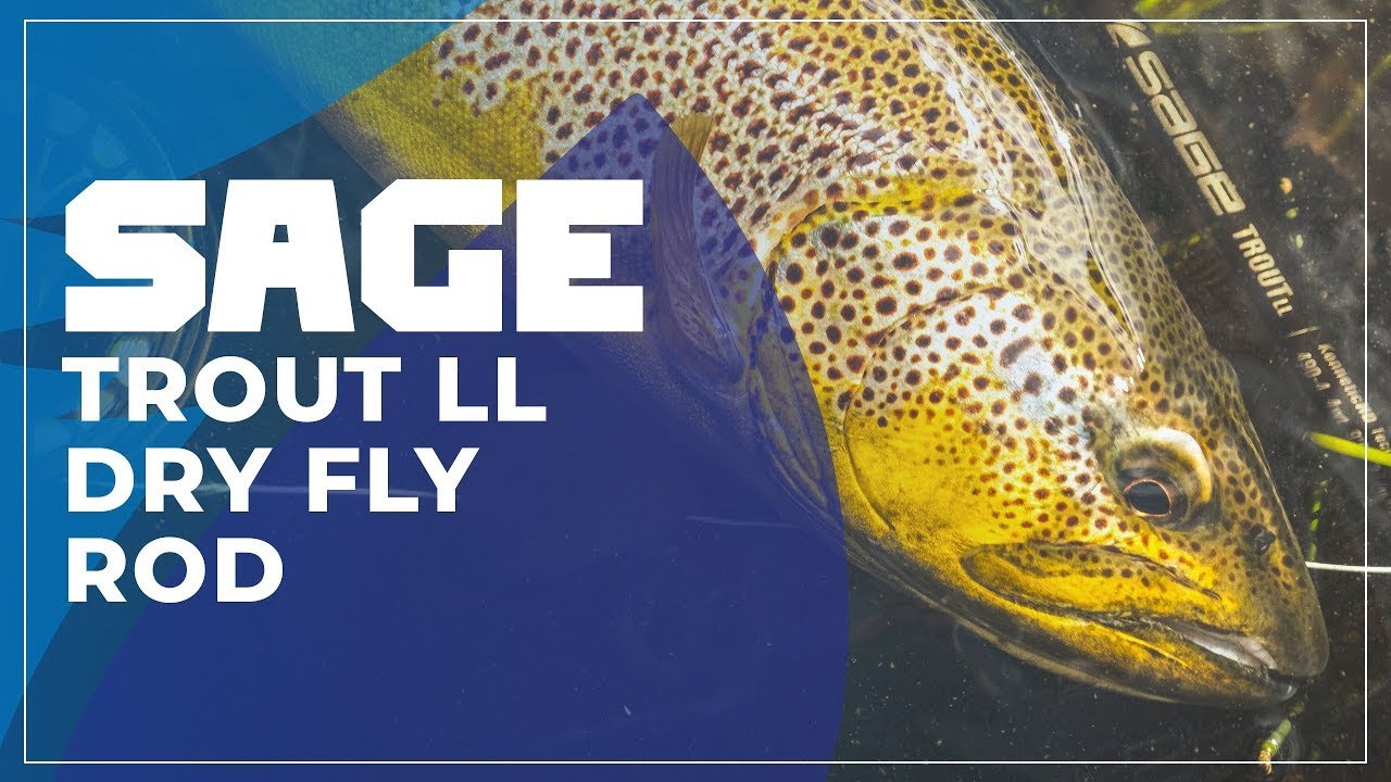 Sage Trout LL Dry Fly Rod - YouTube