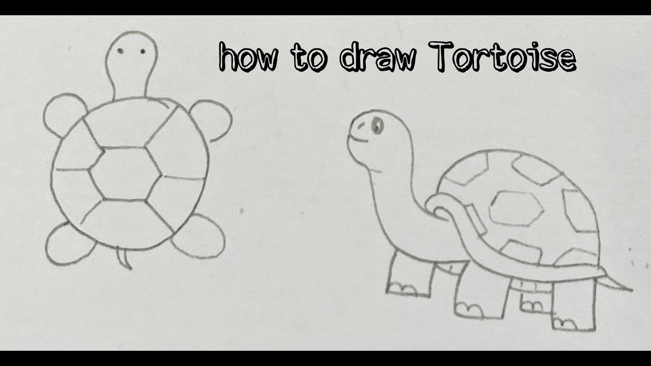 How To Draw A Tortoise Step By Step DIY Easy Drawings Tortoise how-to-draw-a-tortoise-step-by-step-diy-easy-drawings-tortoise