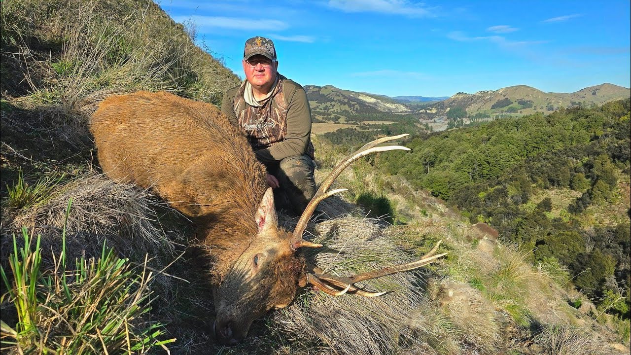 Red Stag Hunt - June 2024 - YouTube