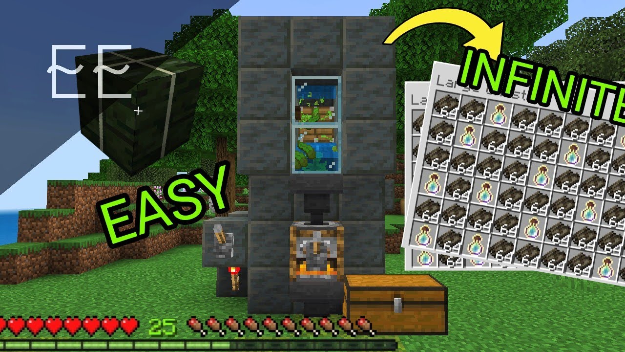 How to build Zero-Tick Kelp XP Farm in Minecraft 1.21 Bedrock/Java/MCPE ...