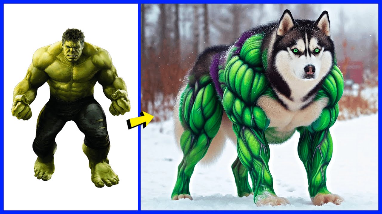 AVENGERS But HUSKY 🐺 VENGERS 🔥+50 Superheroes Marvel & DC 2024 💥 - YouTube