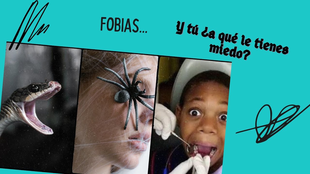 Episodio 24: "Fobias ... y tú ¿a qué le tienes miedo?". - YouTube