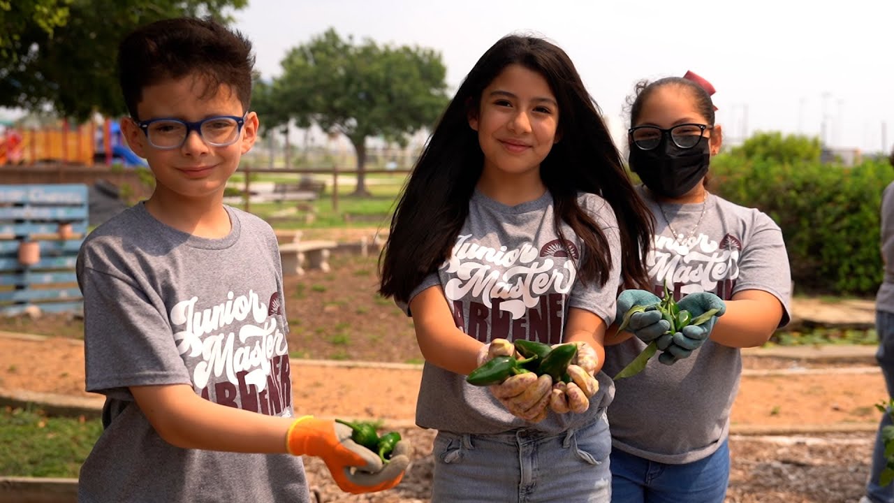 Roots to Success: PSJA Junior Master Gardener Program - YouTube
