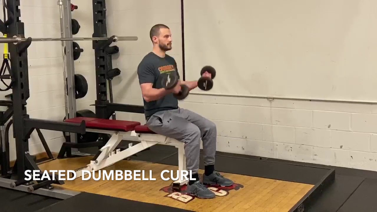 Seated Dumbbell Curl - YouTube