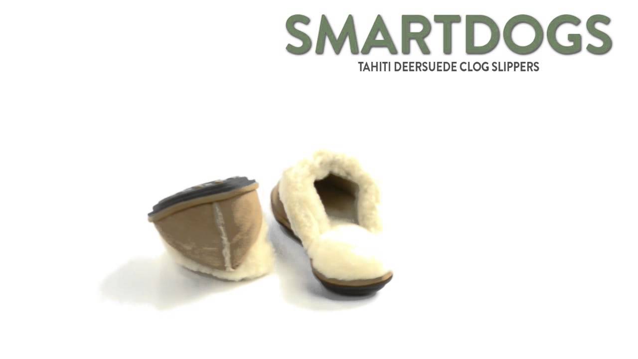Smartdogs Tahiti Slippers (For Women) - YouTube