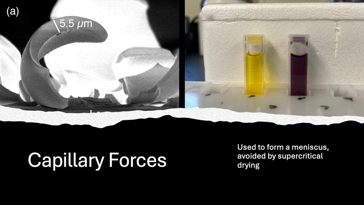 Ch 12 Capillary Forces - YouTube