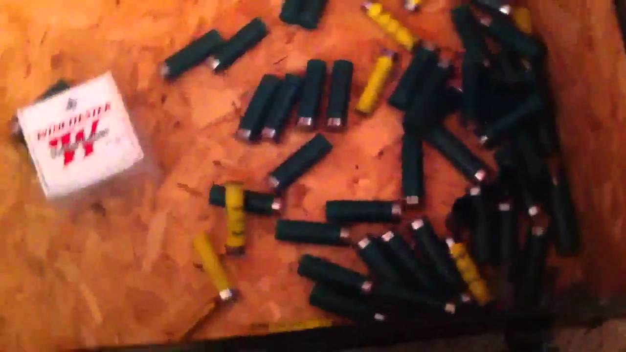 Adding to the shotshell collection - YouTube