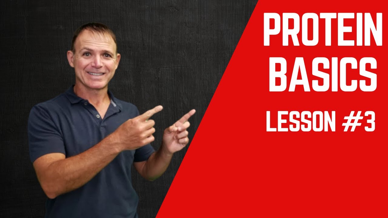 Sports Nutrition: Chapter 1-- Lesson 3 Protein Basics - YouTube