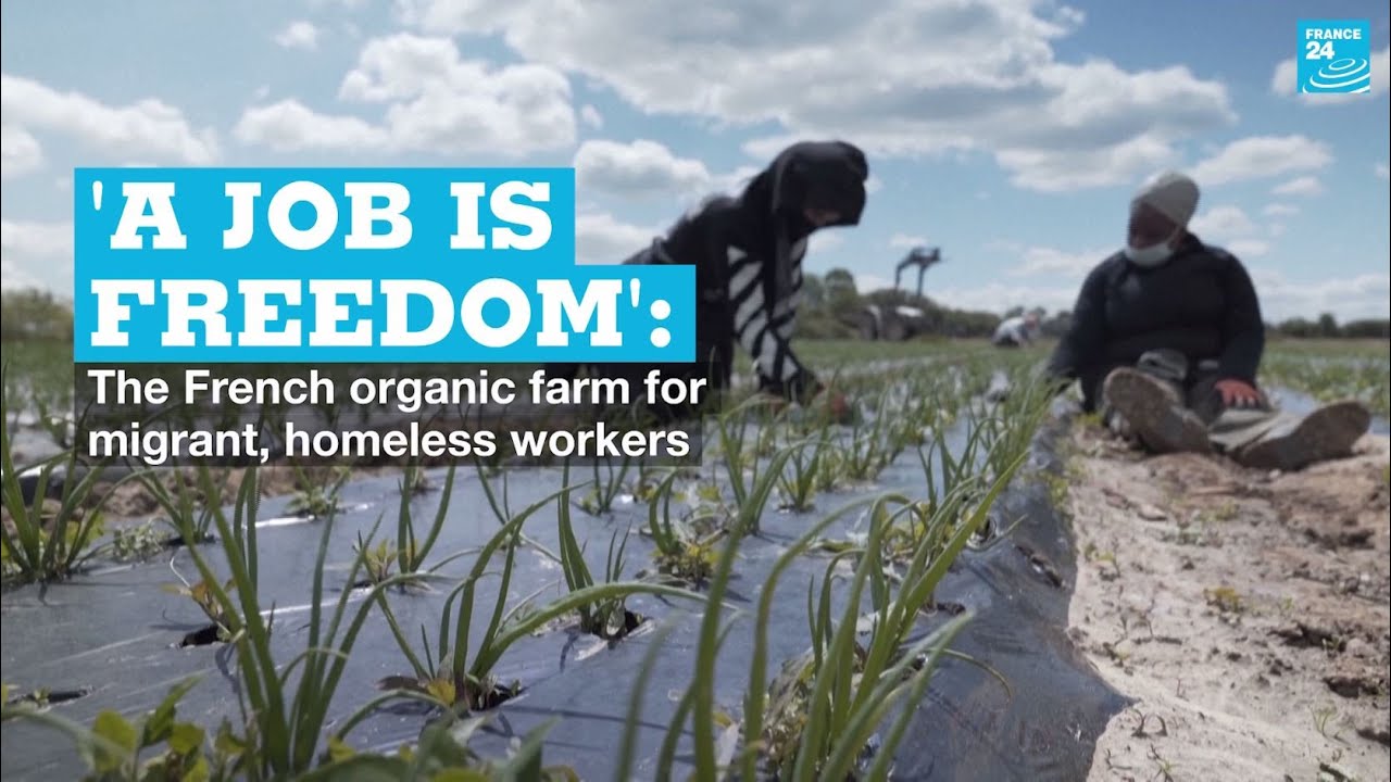 'A job is freedom': The French organic farm for migrant, homeless ...