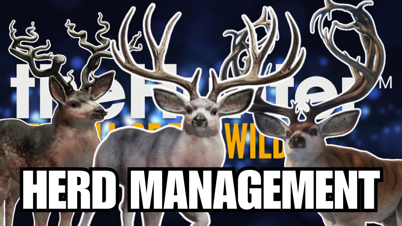 The SIMPLEST Beginner’s Guide to HERD MANAGEMENT - YouTube