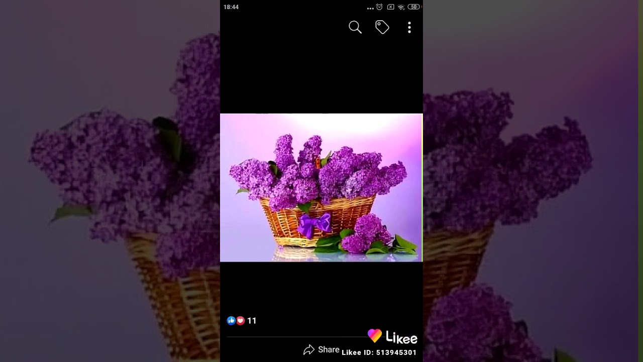 Tatas fotoebi - YouTube