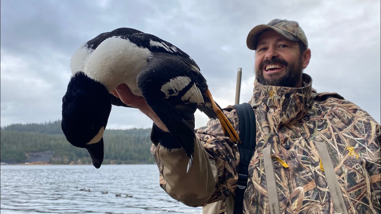 Duck Hunting Guide Alaska