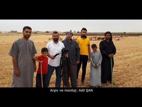 Türkmen Ağzı Adil Şan ve Mırra