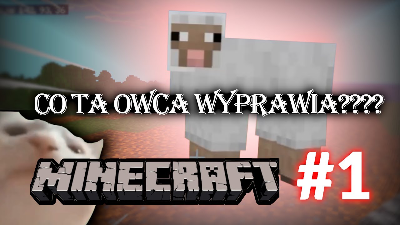 Minecraft #1 Co ta Owca wyprawia???? [16+] - YouTube