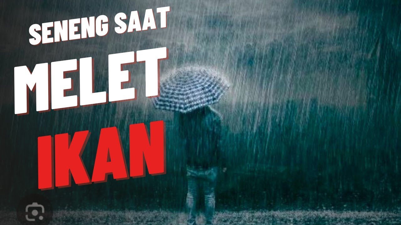 seneng saat melet ikan🐠🐋🐟 - YouTube