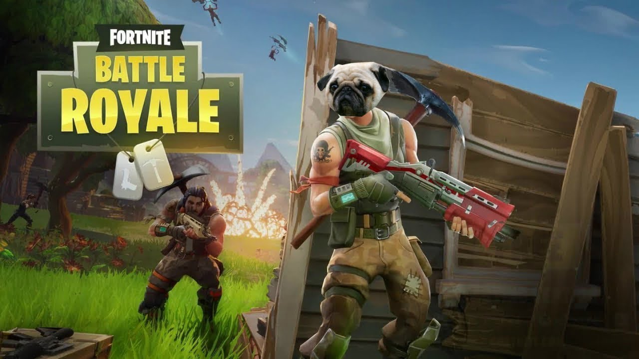 un pug en fortnite - YouTube