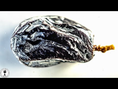 Raisin Swelling Time lapse 4K - YouTube