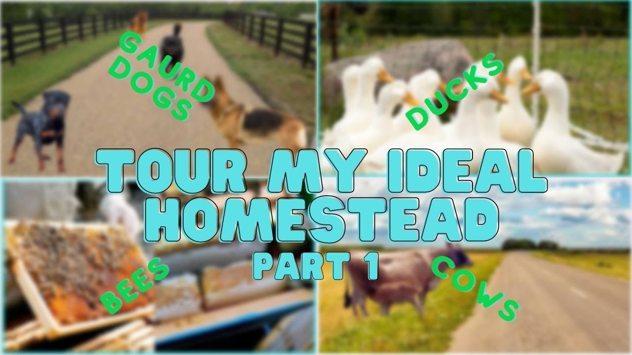 Tour my ideal HOMESTEAD (PART 1) - YouTube