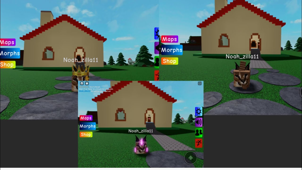 How to get king floppa, chocolate floppa and unicorn floppa (find the ...