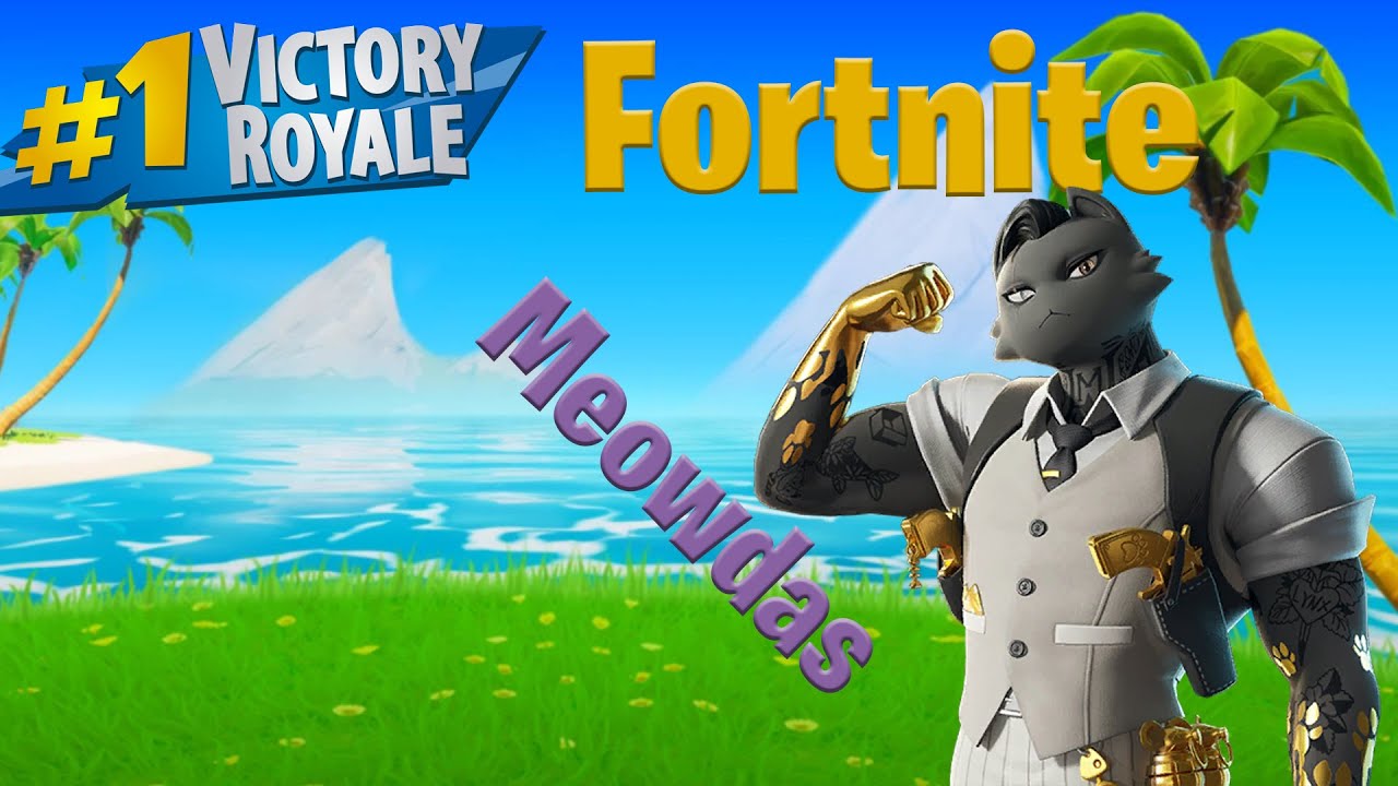 Meowdas Skin! Fortnite idiotic gameplay! High Graphics! - YouTube