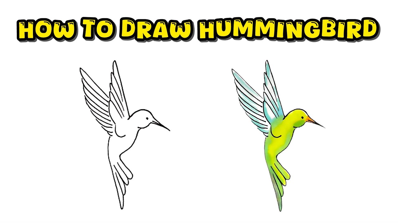 Learn How to Draw Hummingbird – Simple Step-by-Step Drawing for ...
