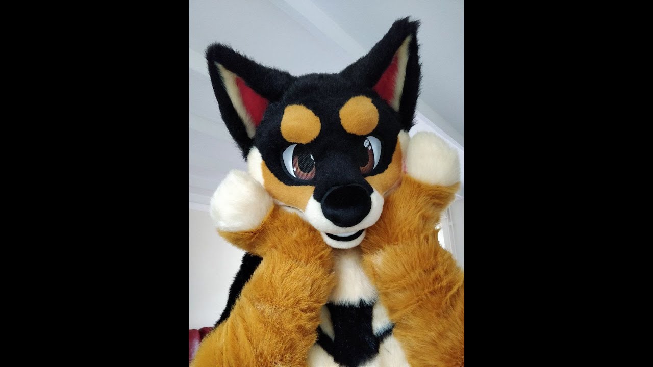 Furry Song - Welcome To My Channel - YouTube